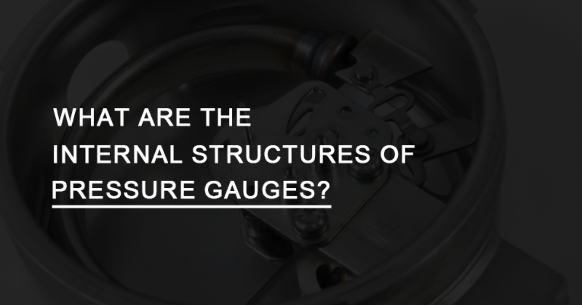 Internal Structures of Industrial Pressure Instruments | SJ Gauge