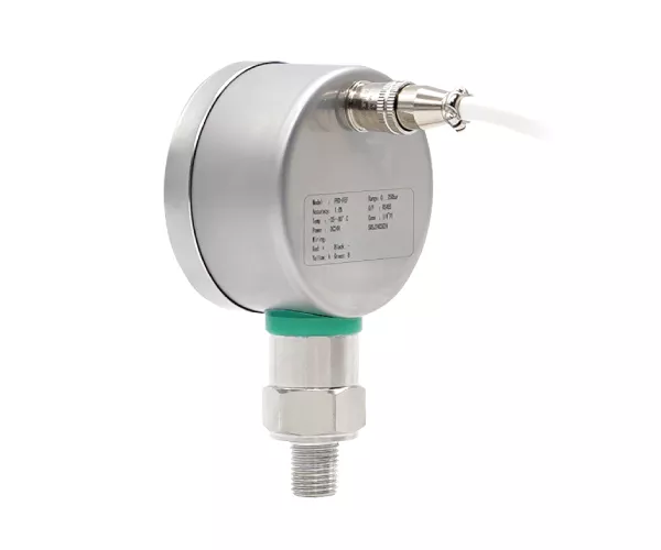 Digital Pressure Gauge with Output RS485 | PRD-FEF - Products ...